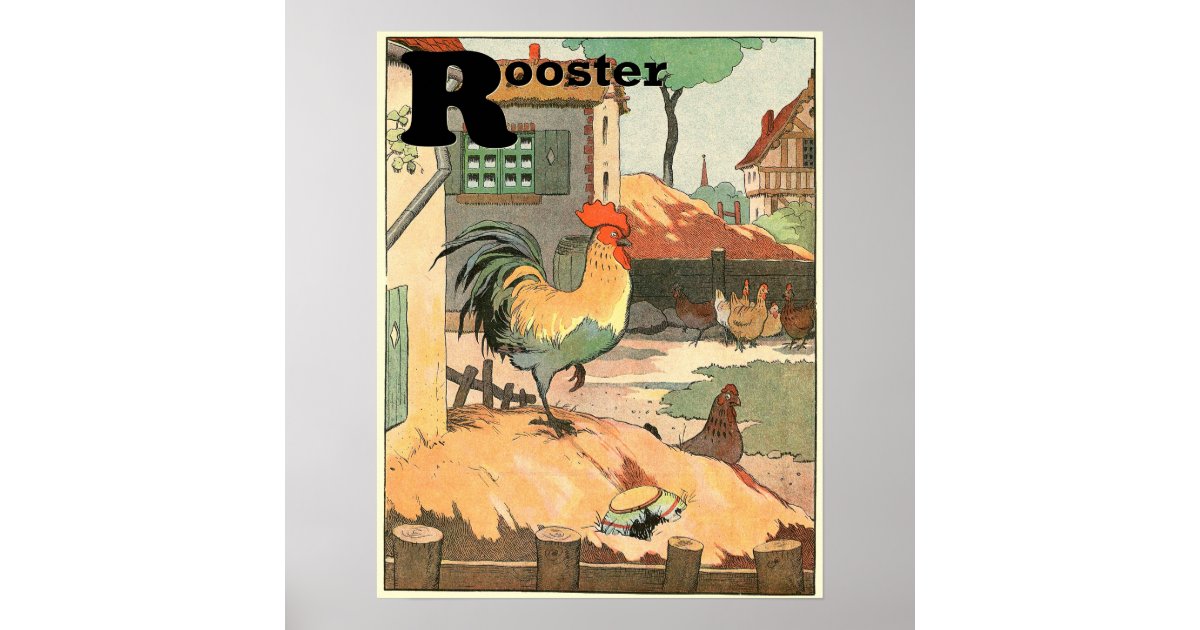 The Rooster Storybook Alphabet Poster | Zazzle