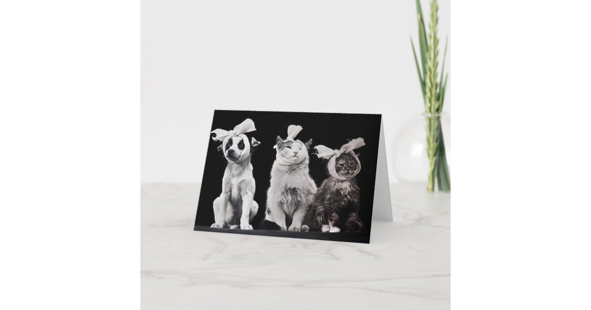 The Sad Trio, Blank Inside Card | Zazzle