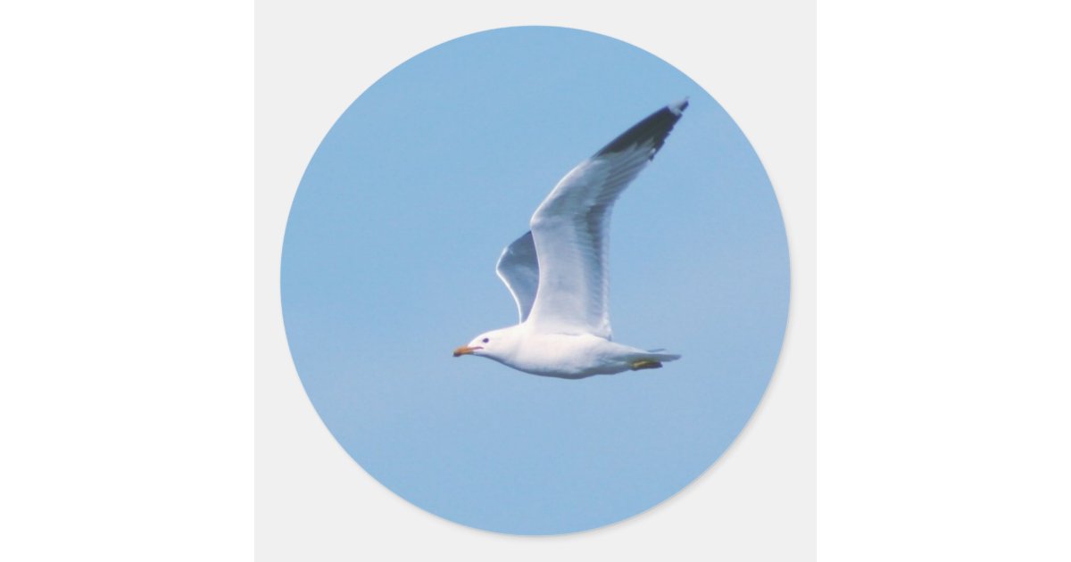 The Seagull Collection Classic Round Sticker | Zazzle