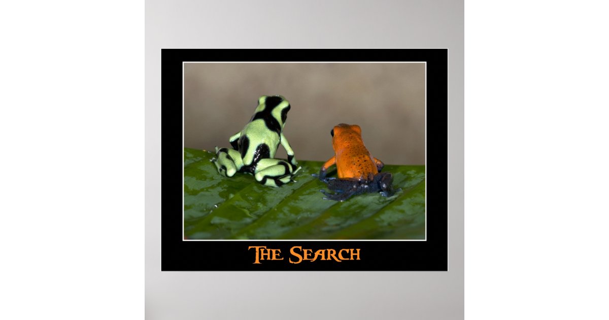 The Search Poster | Zazzle