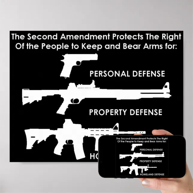 The Second Amendment Protects Poster | Zazzle