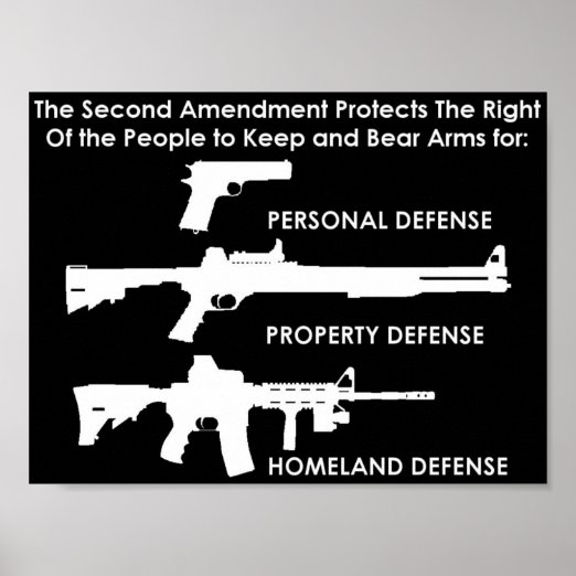 Second 2nd Amendment Art & Wall Décor | Zazzle