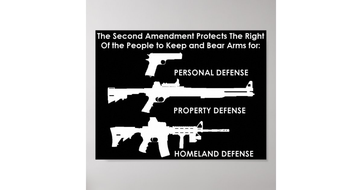 The Second Amendment Protects Poster | Zazzle