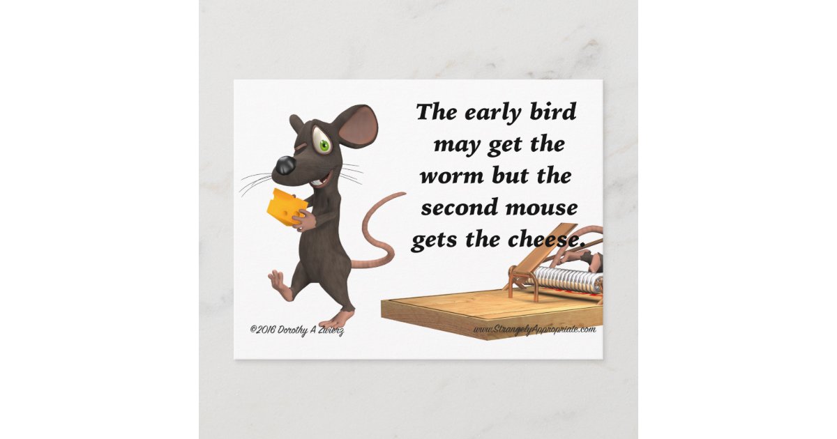 The Second Mouse Gets The Cheese Postcard | Zazzle