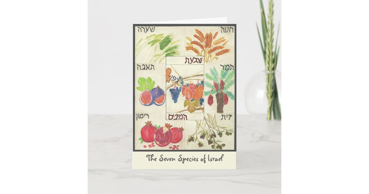 The Seven Species of Israel Card | Zazzle
