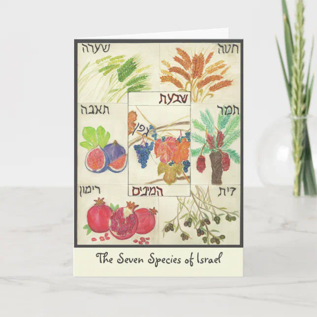 The Seven Species of Israel Card | Zazzle