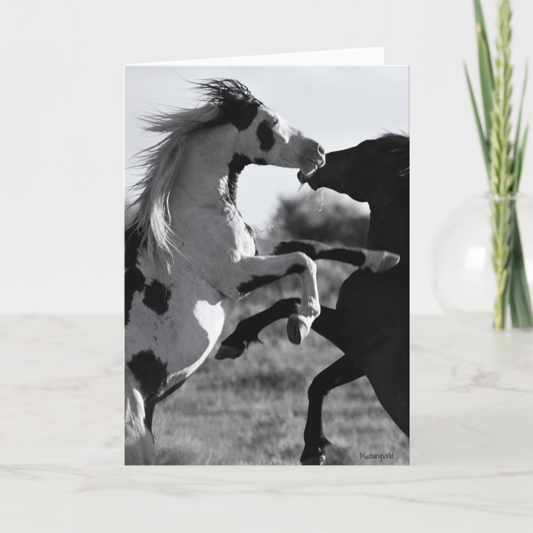The "Shaman" Greeting Card | Zazzle
