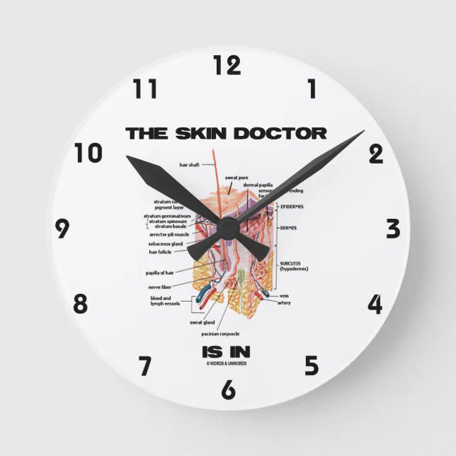 The Skin Doctor Is In (Anatomy Dermatology) Round Clock | Zazzle