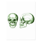 Anatomy of Skull Postcard | Zazzle.com