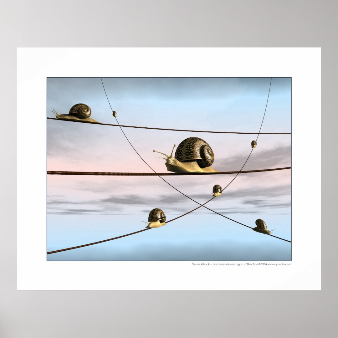 The snail tracks poster | Zazzle