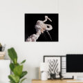 The Space Shuttle Challenger Disaster Poster | Zazzle