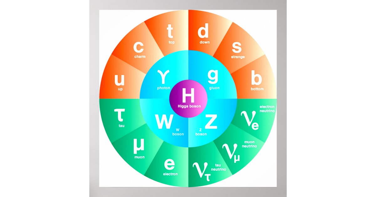 The Standard Model of Particle Physics Poster | Zazzle