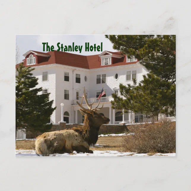 The Stanley Hotel Postcard | Zazzle