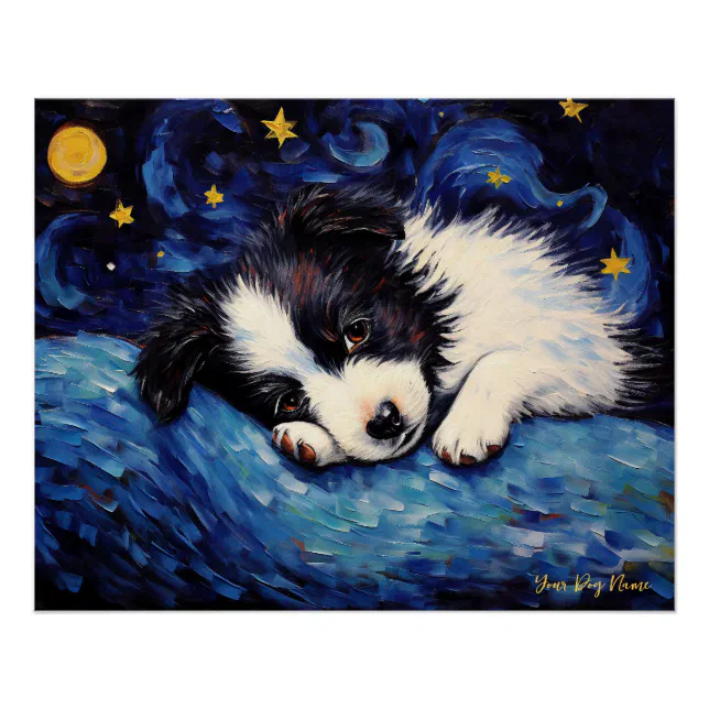 starry border collie