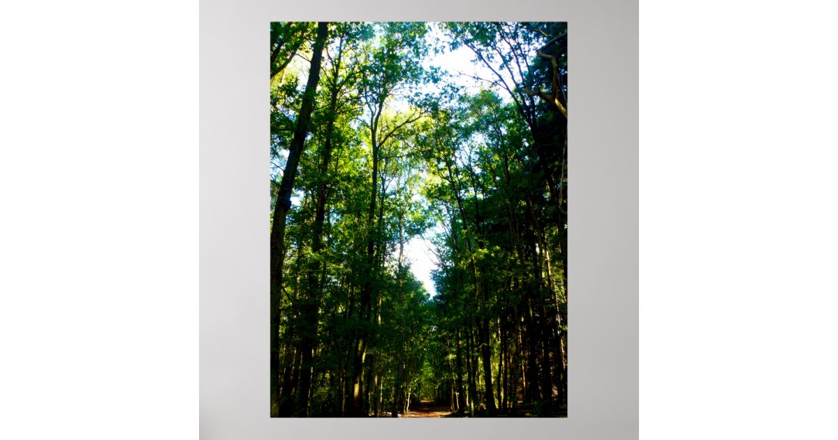 The Straight and Narrow Poster | Zazzle