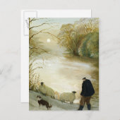 The Stray Sheep Postcard | Zazzle