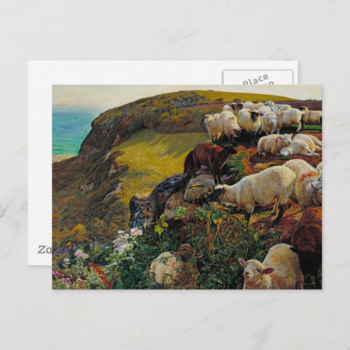 The Strayed Sheep Postcard | Zazzle