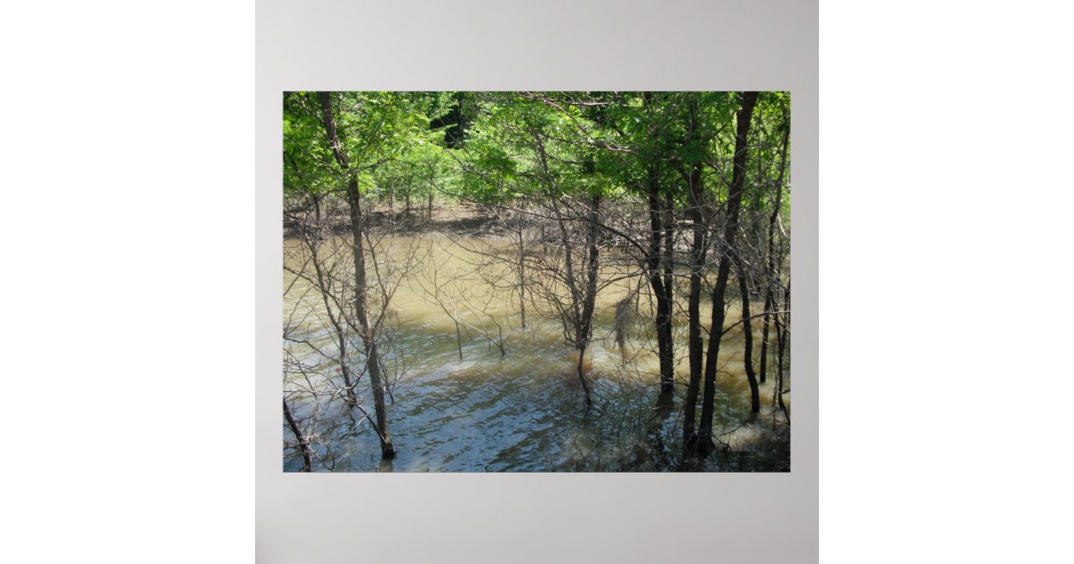 The Swamp Poster | Zazzle