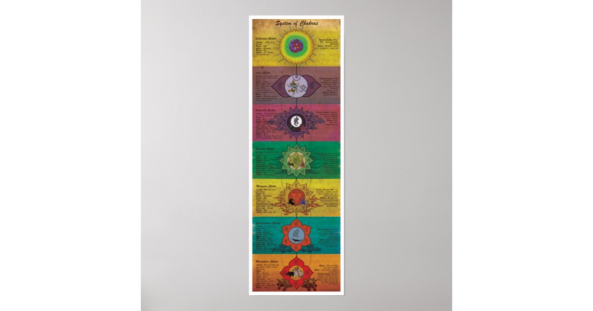 The System Of Chakras Poster | Zazzle