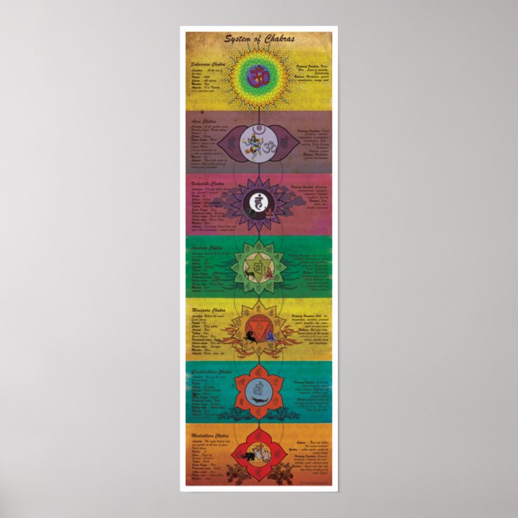 The System Of Chakras Poster | Zazzle