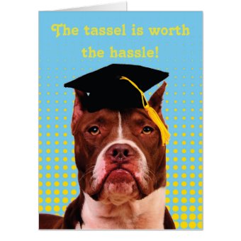 The Tassel is Worth The Hassle Graduation Card | Zazzle