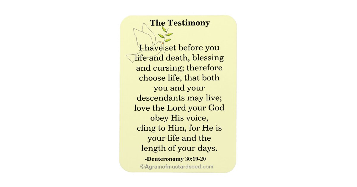 The Testimony Scripture Magnet | Zazzle