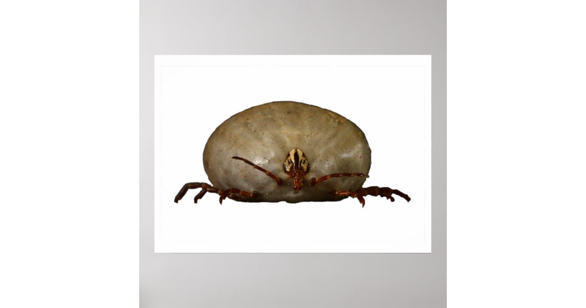 The Tick Poster | Zazzle