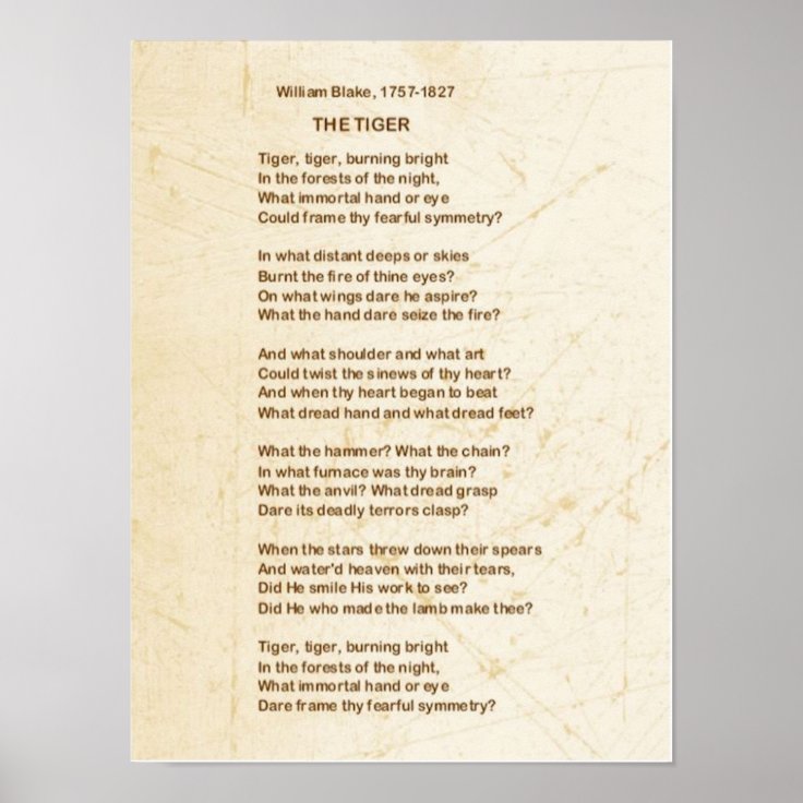 THE TIGER Poem by William Blake Poster | Zazzle
