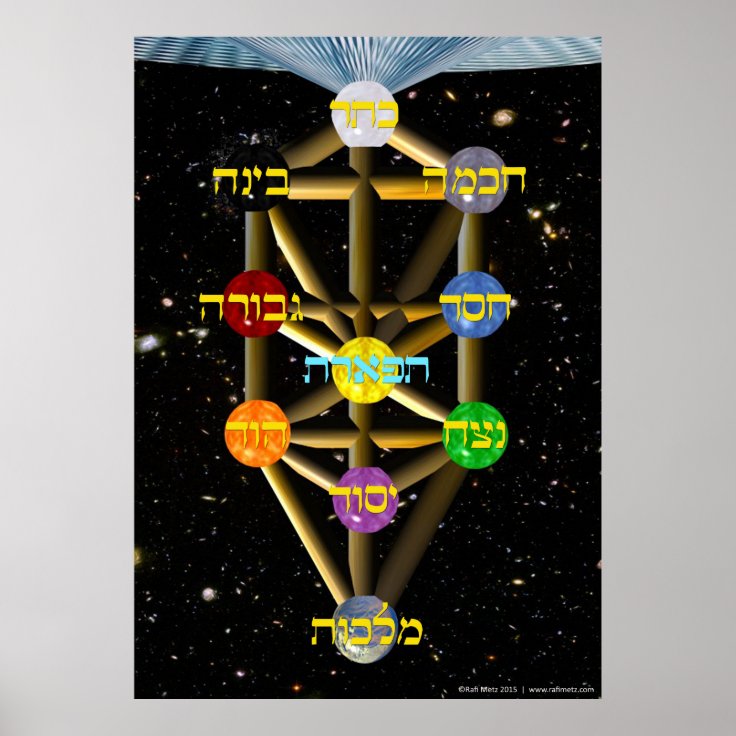 The Tree of Life | Hebrew | All Sizes Poster | Zazzle
