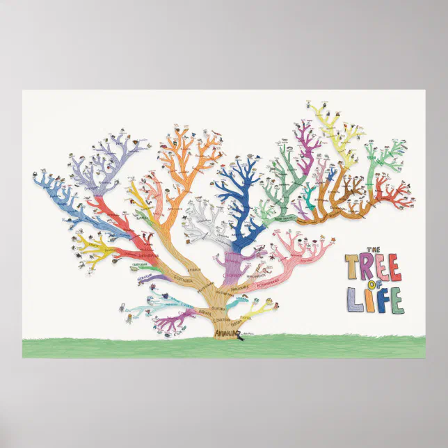 The Tree of Life Poster | Zazzle
