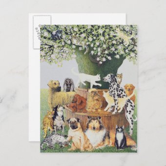 The Trysting tree Postcard | Zazzle