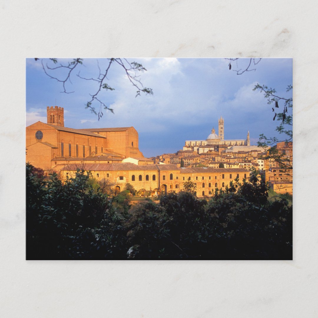 The Tuscan village of Sienna, Italy. Postcard | Zazzle