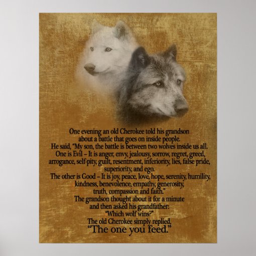 The Two wolves, Cherokee proverb Poster | Zazzle
