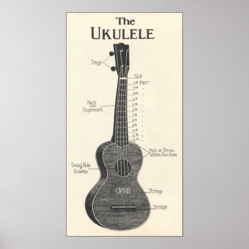 The Ukulele Poster | Zazzle
