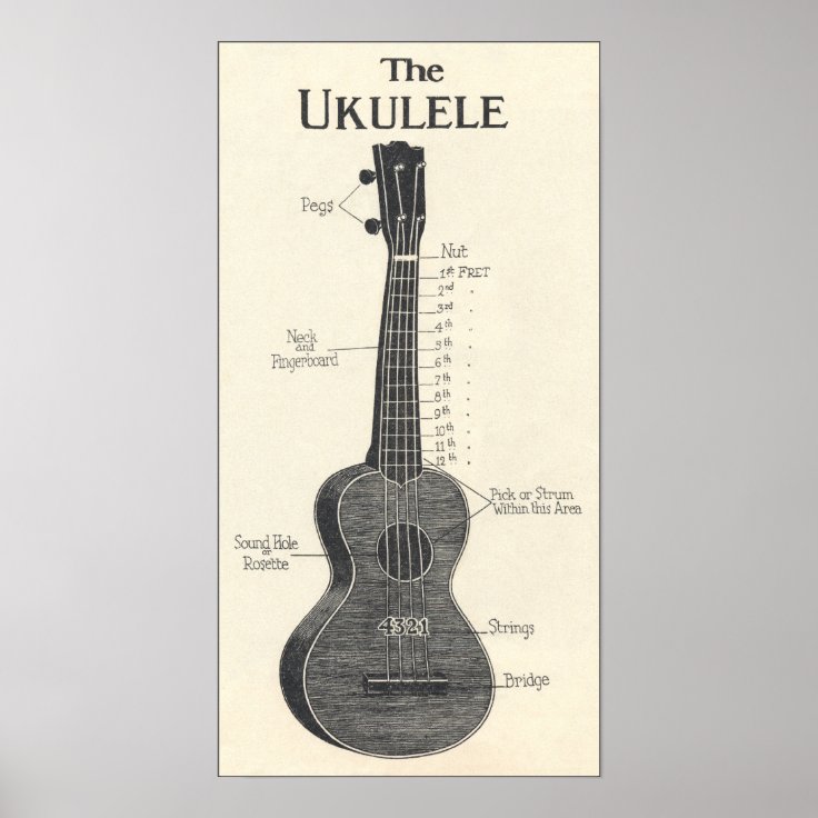 The Ukulele Poster | Zazzle