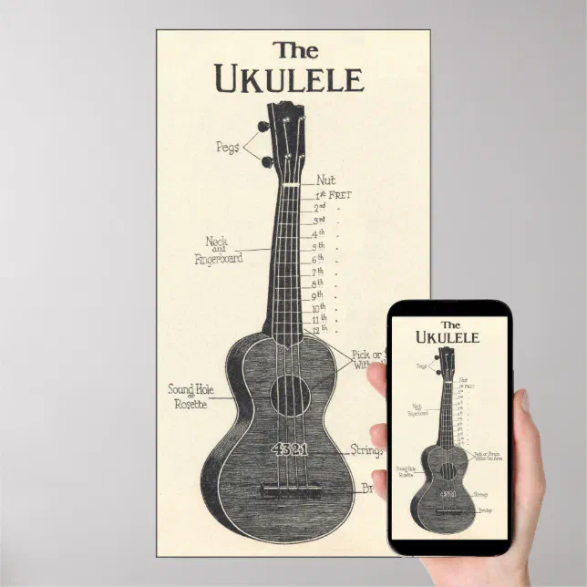 The Ukulele Poster | Zazzle