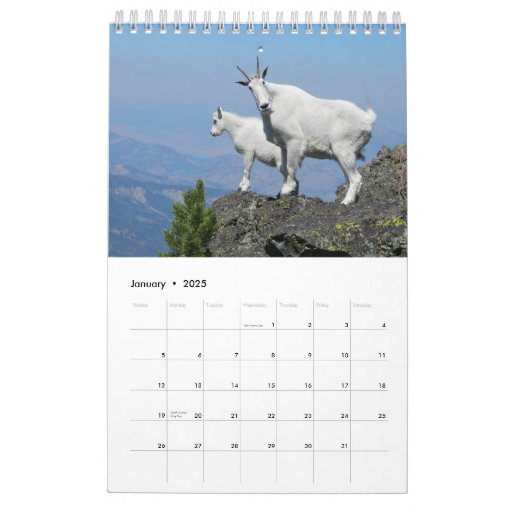 The Ultimate Goat Calendar | Zazzle