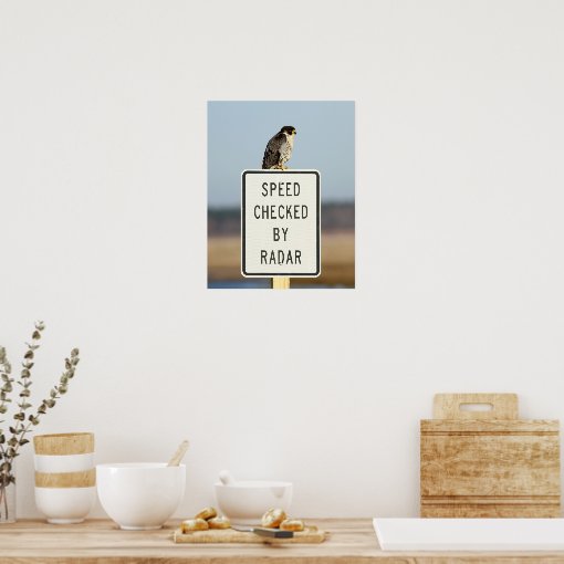The Ultimate Irony Poster | Zazzle
