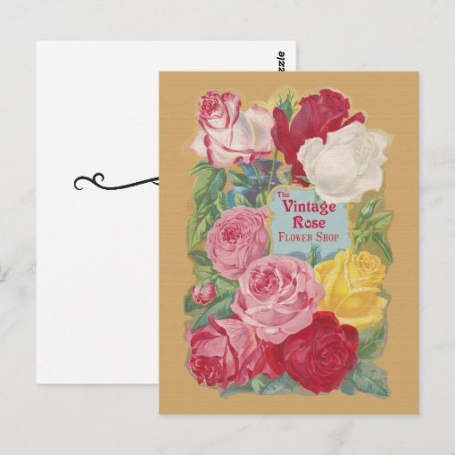 The Vintage Rose Flower Shop Sign Postcard | Zazzle