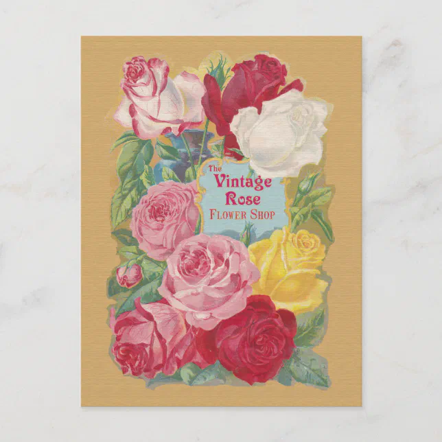The Vintage Rose Flower Shop Sign Postcard | Zazzle