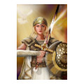 The Warrior Bride Poster | Zazzle