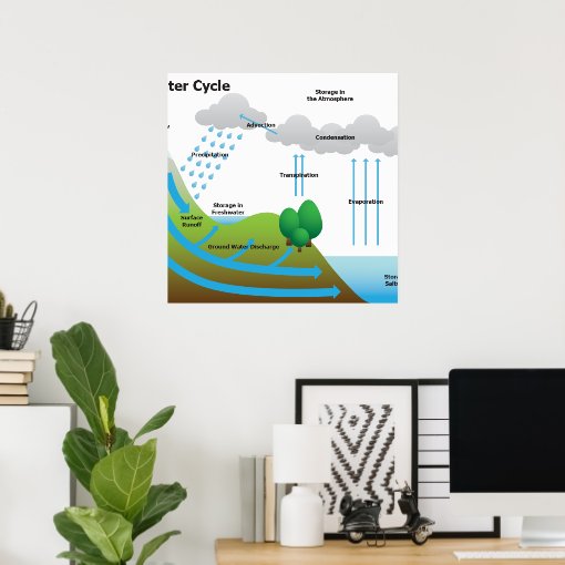The Water Cycle Poster | Zazzle