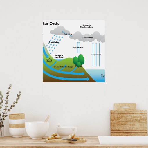 The Water Cycle Poster | Zazzle