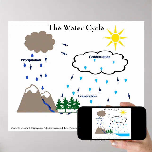 Water Cycle Poster For Kids
