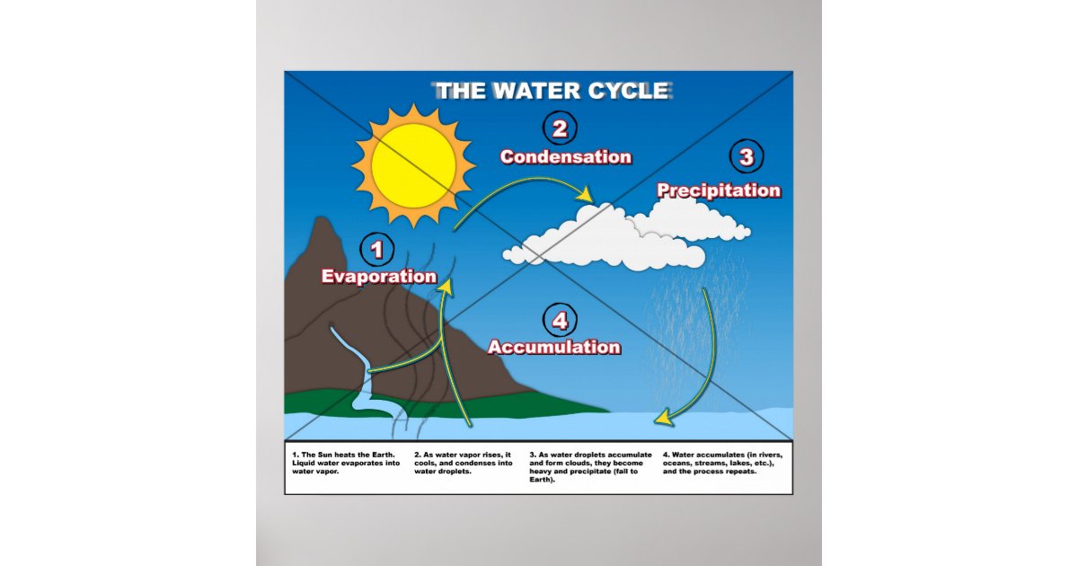 The Water Cycle Poster | Zazzle