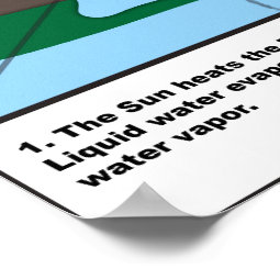 The Water Cycle Poster | Zazzle