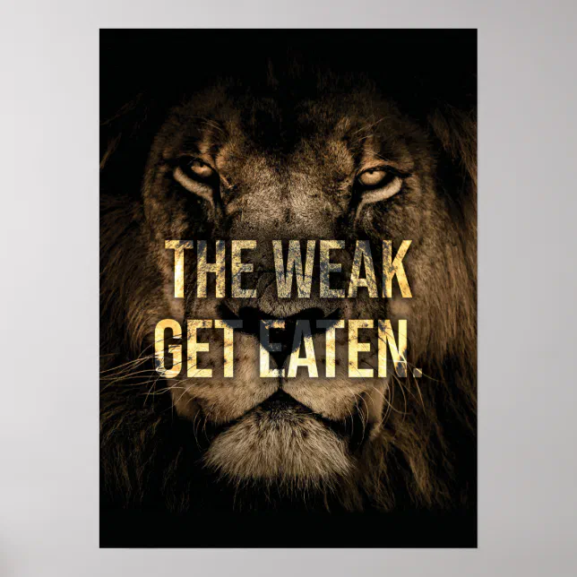 The Weak Get Eaten - Lion - Hustle Poster | Zazzle