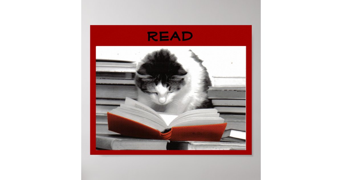 The Well-Read Cat Literacy Poster | Zazzle