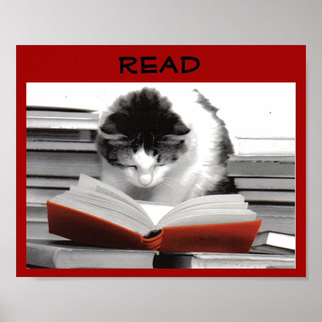 The Well-Read Cat Literacy Poster | Zazzle