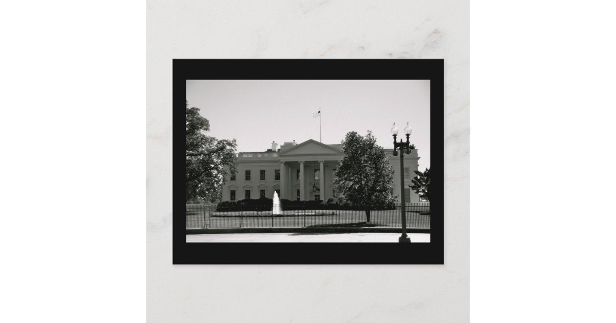 the white house postcard | Zazzle